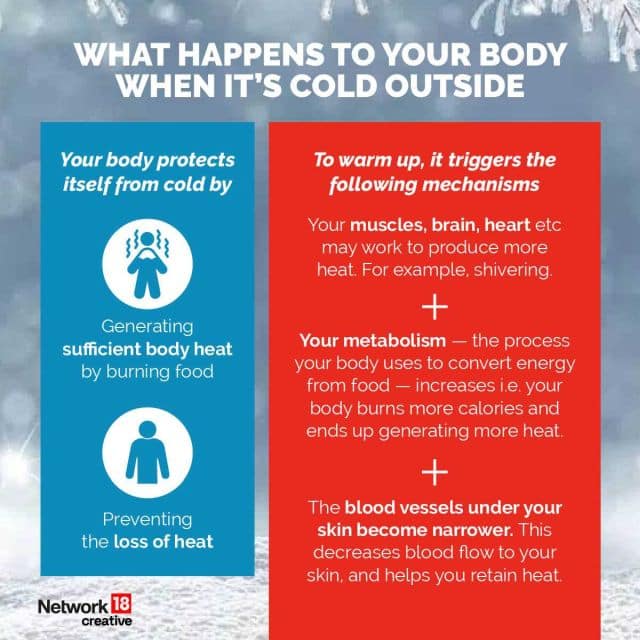 In Graphics | The science of feeling cold during winter, explained ...