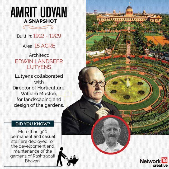In Graphics | What's blooming at Amrit Udyan? What is the best time to ...