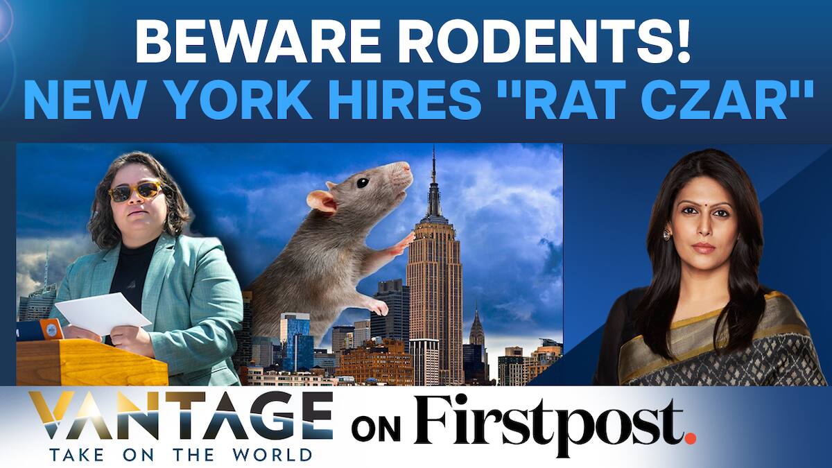 NYC Vs Rats: New York Appoints \"Rat Czar\" to Deal with Rodent Menace ...