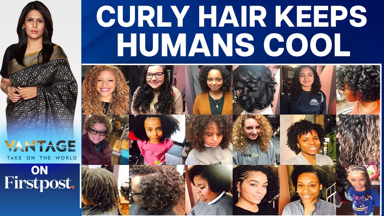 Hair and Evolution: Why Curly Hair are an Asset for Humans | Vantage ...
