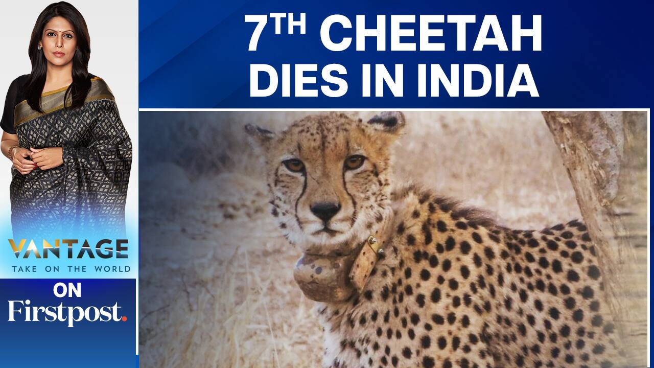 Taiwan Seeks New Allies: Answer to China’s Chequebook? | Vantage with ...