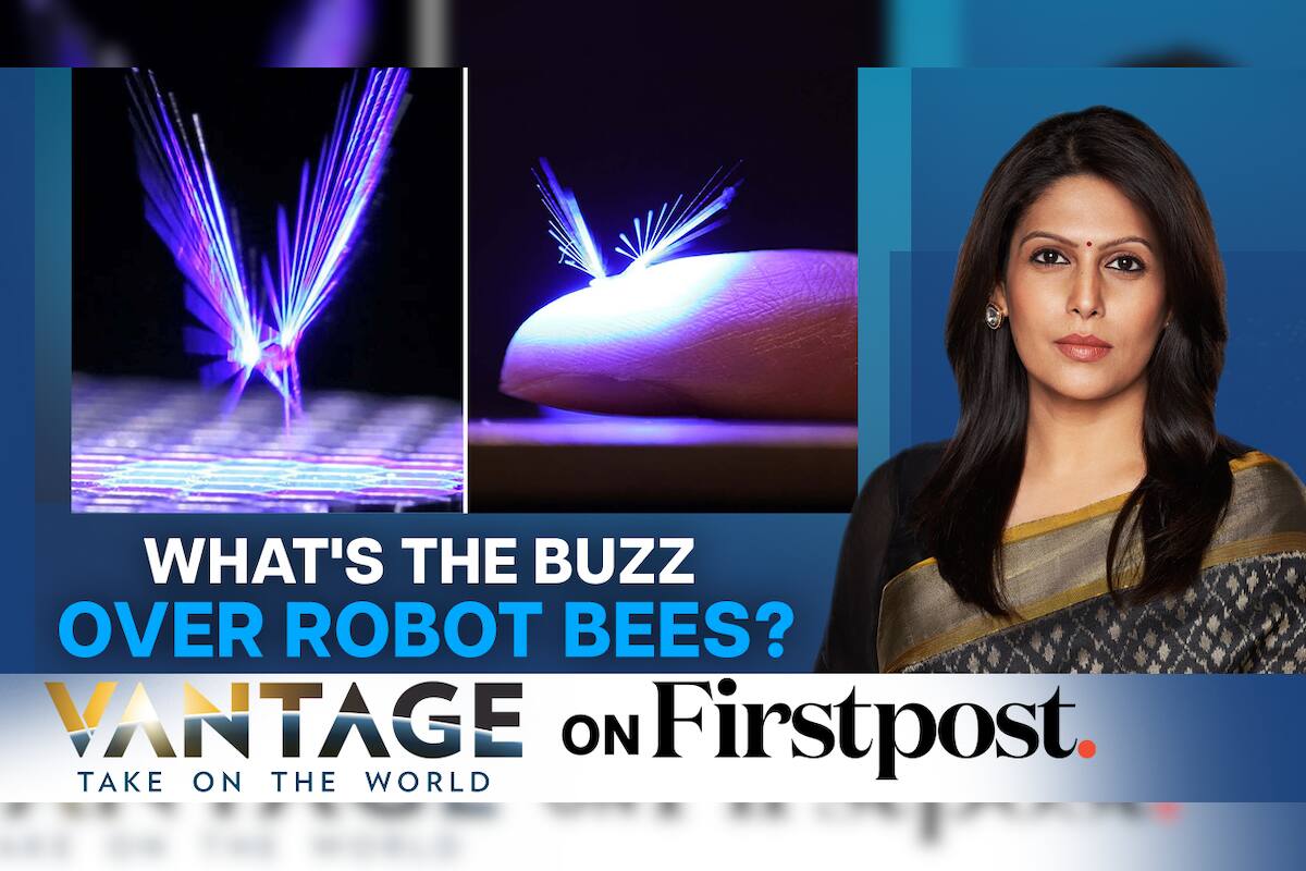 Buzz Over Robot Bees|Threat to Bees Leads to Development of Robot Bees ...