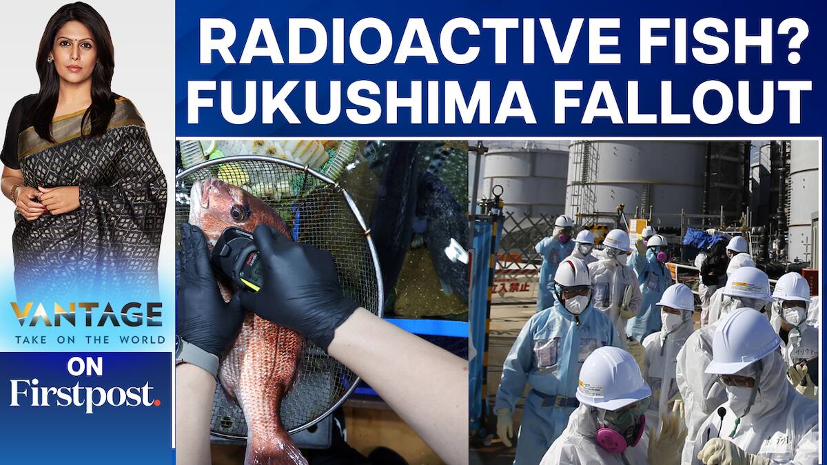 Fukushima Fallout? Radioactive Material Found in Fish | Vantage with ...