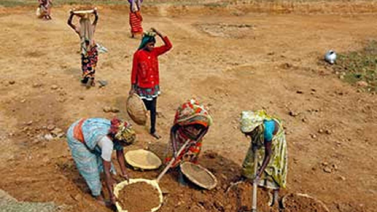 International Day for Eradication of Poverty quiz: Do you know which ...