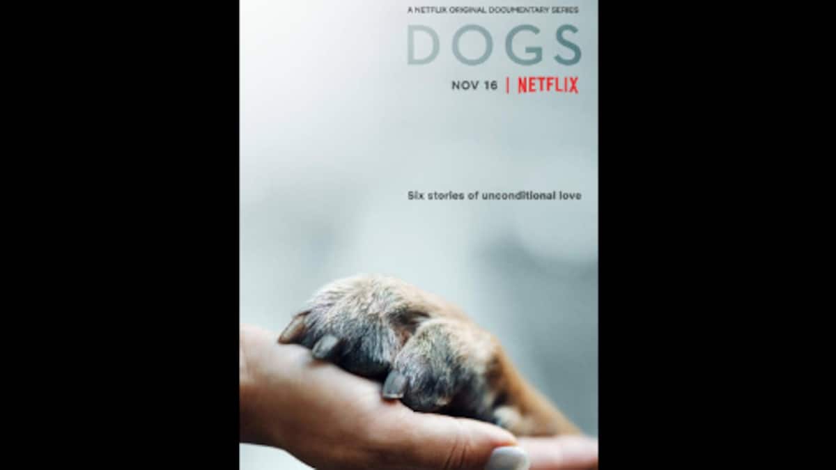Dogs trailer: Netflix's six-part docuseries promises to be compelling ...