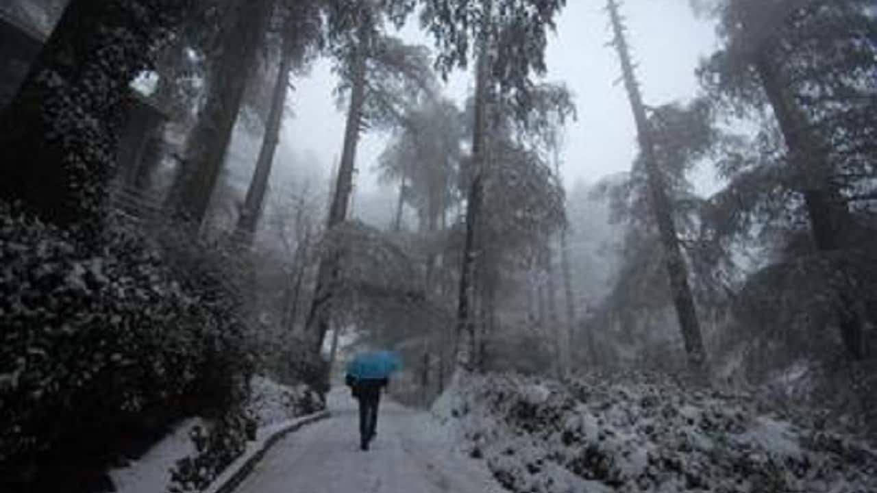 Shimla, Dalhousie, Chail in Himachal Pradesh see continuous snowfall ...