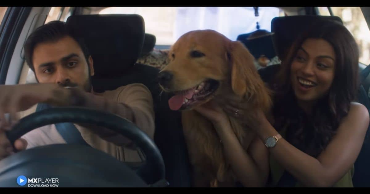 Cheesecake review: TVF's new web series on MX Player doesn't go beyond ...