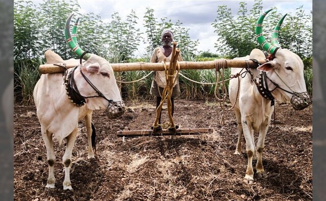 On Labour Day, a look at the daily struggles of the people silently ...
