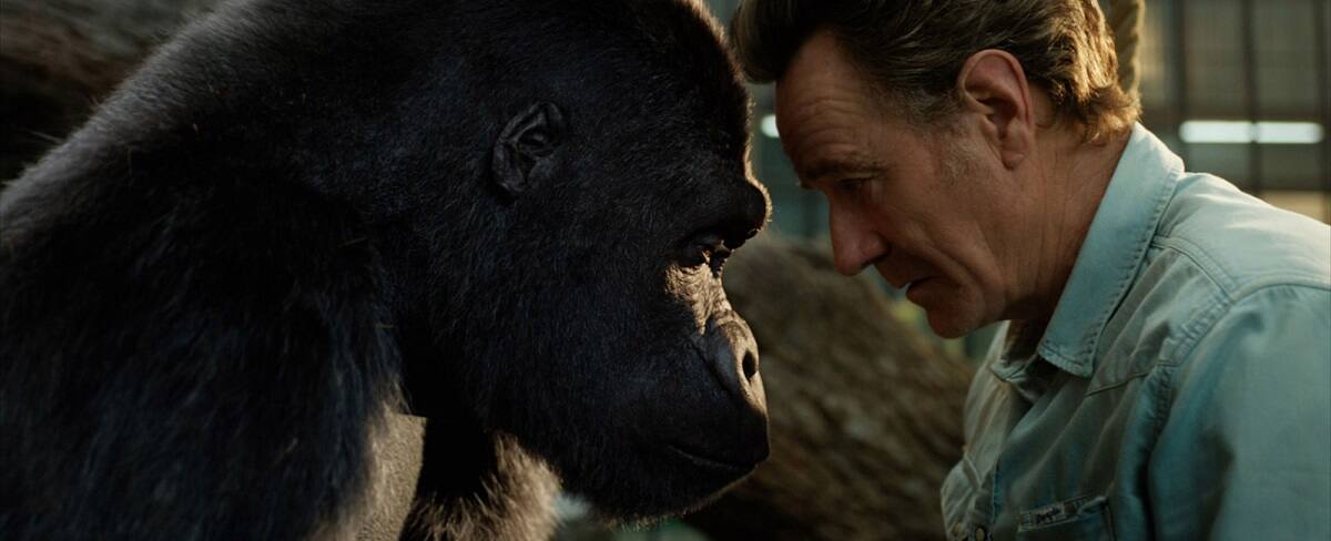 The One And Only Ivan Movie Review Star Power Can t Redeem Disney s 