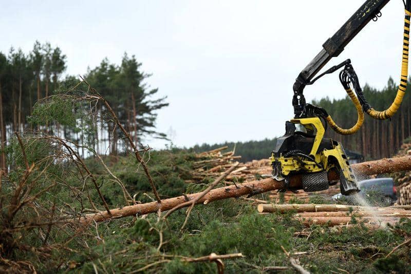 Tesla resumes tree cutting in Germany to build Gigafactory – Firstpost