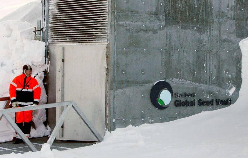 Arctic 'doomsday' food vault welcomes millionth seed variety – Firstpost