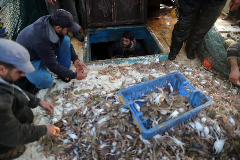 Palestinians pray for fish as Israel opens deeper waters – Firstpost