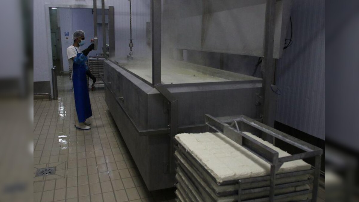 Say cheese! Cyprus's halloumi gets EU protected status – Firstpost