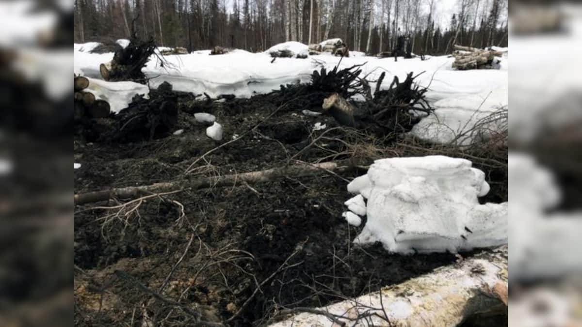 Overwintering 'zombie' fires may become more common as climate changes ...