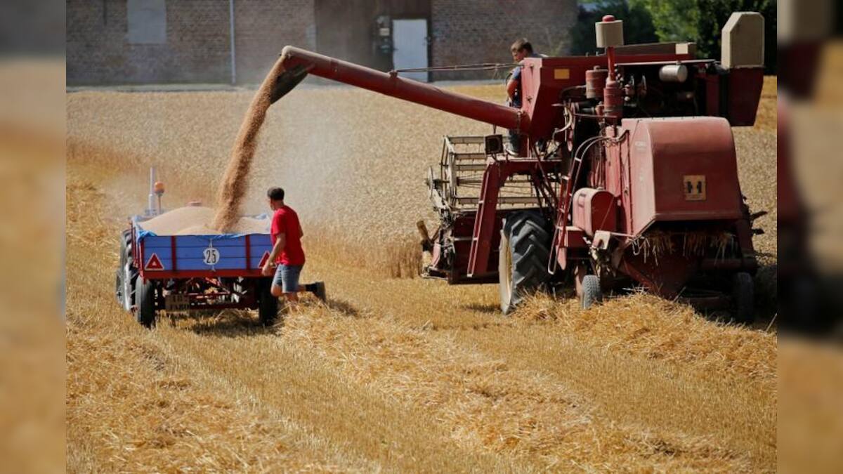 Crop damage mounts for EU farmers after torrid summer – Firstpost