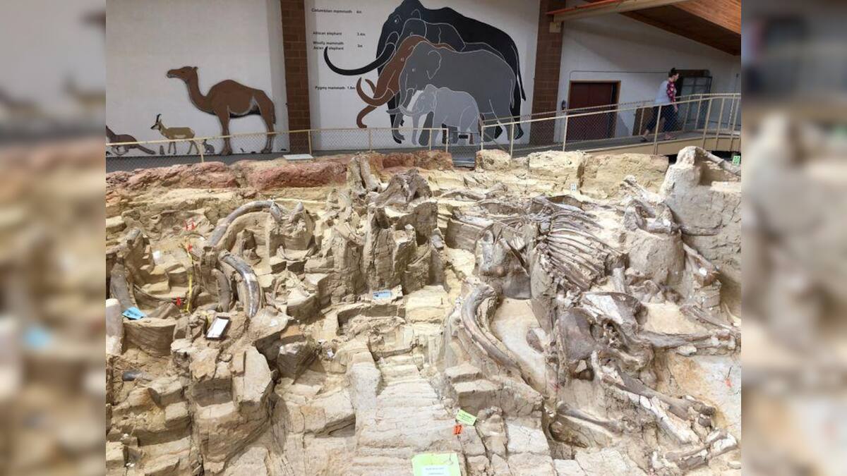 How low did it go? Scientists calculate Earth's Ice Age temperatures ...