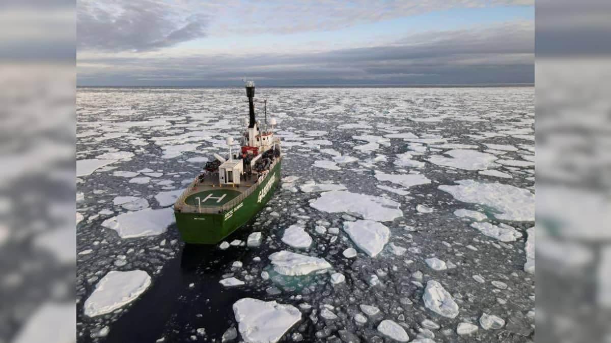 Arctic sea ice suffers 'devastating' loss, shrinks to second lowest on ...