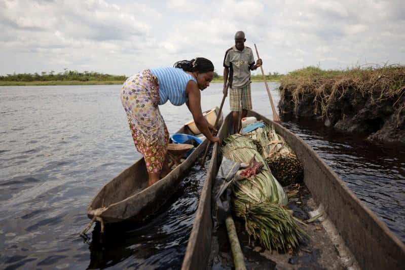 In Congo, part-time hunters boost income with bushmeat – Firstpost